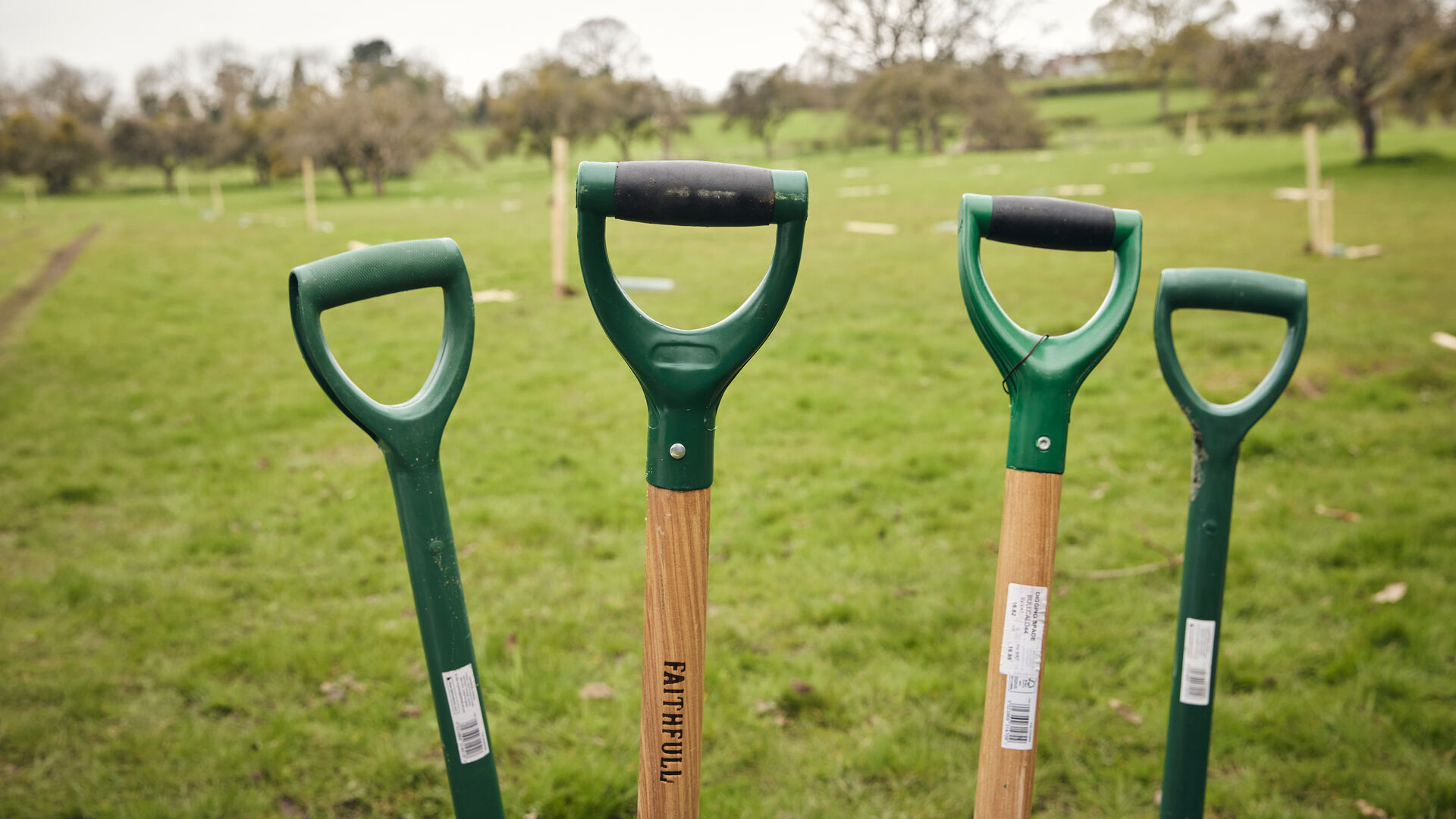 Alfrick Woodland Community Consulation | Prime plc