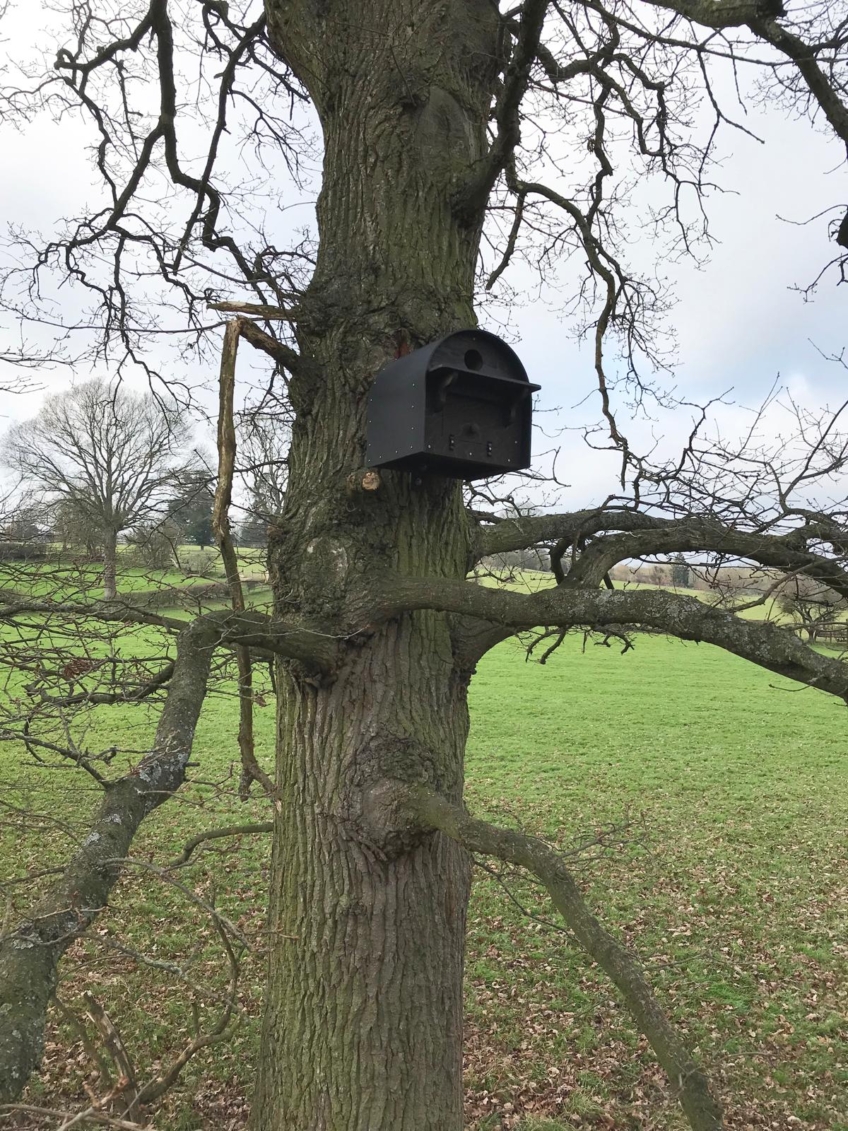 Alfrick Woodland Community Consulation | Prime plc
